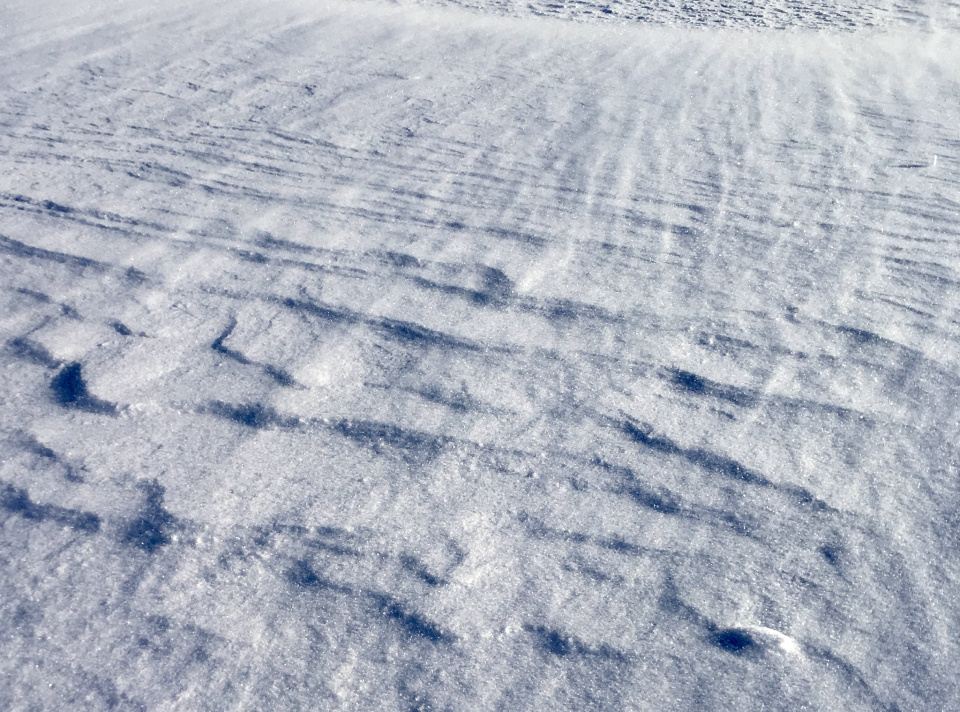 Snowbeach | Shelling | Blipfoto