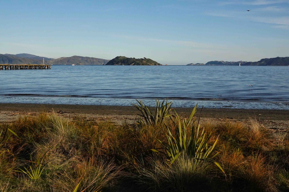 Beautiful day in Petone New Zealand | mpp26 | Blipfoto