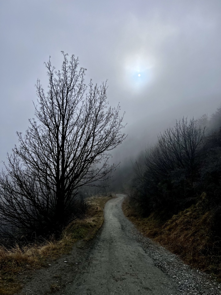 Another … | Daring2Go | Blipfoto