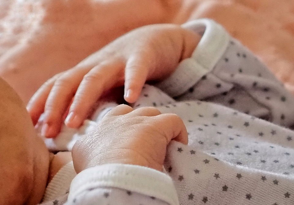 Tiny Fingers of Potential | HilarysView | Blipfoto