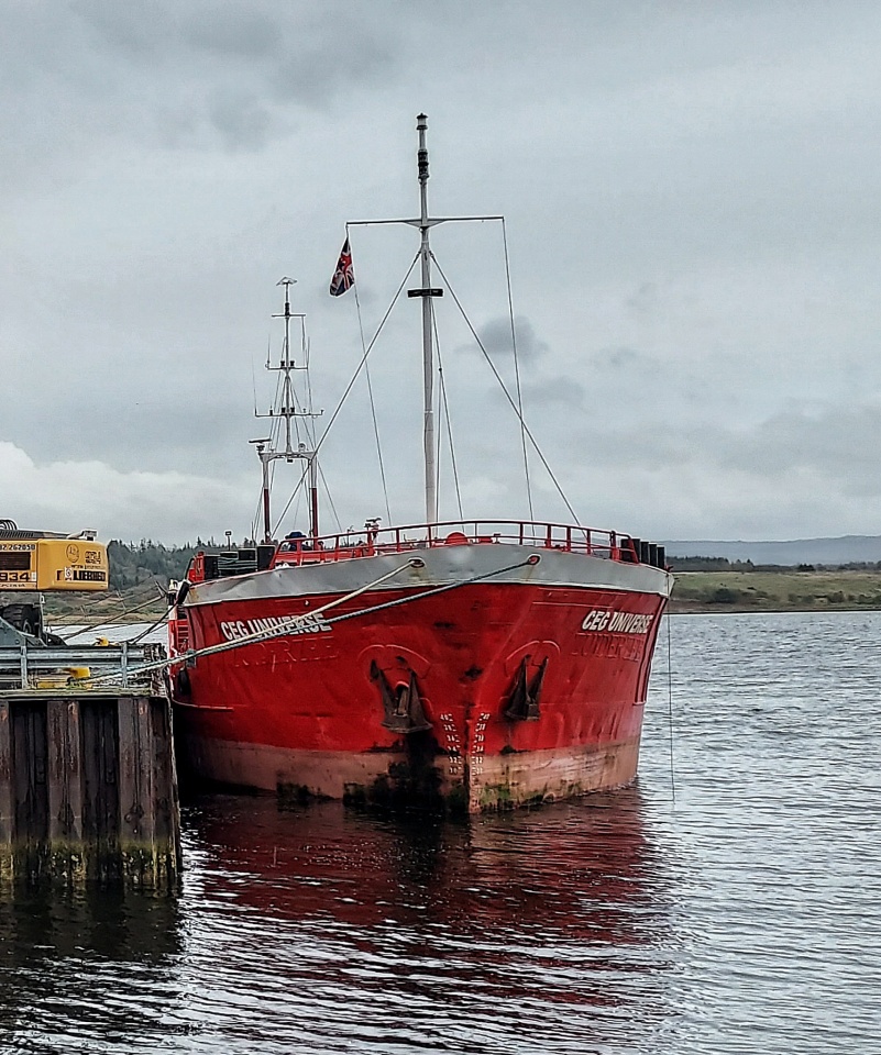 When the boat comes in! | snapper | Blipfoto