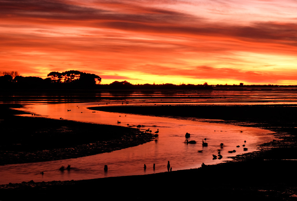 River of gold | mpp26 | Blipfoto