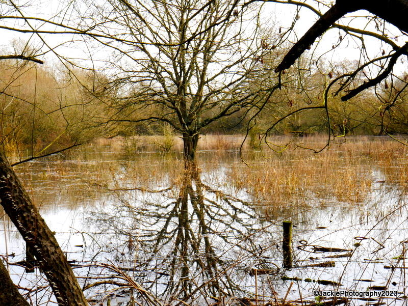 Devastation | ThingsBeautiful | Blipfoto