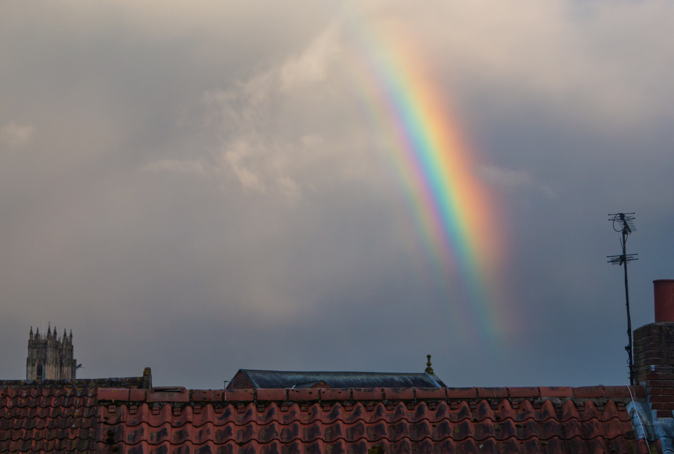 A bit of joy | littlemoments | Blipfoto