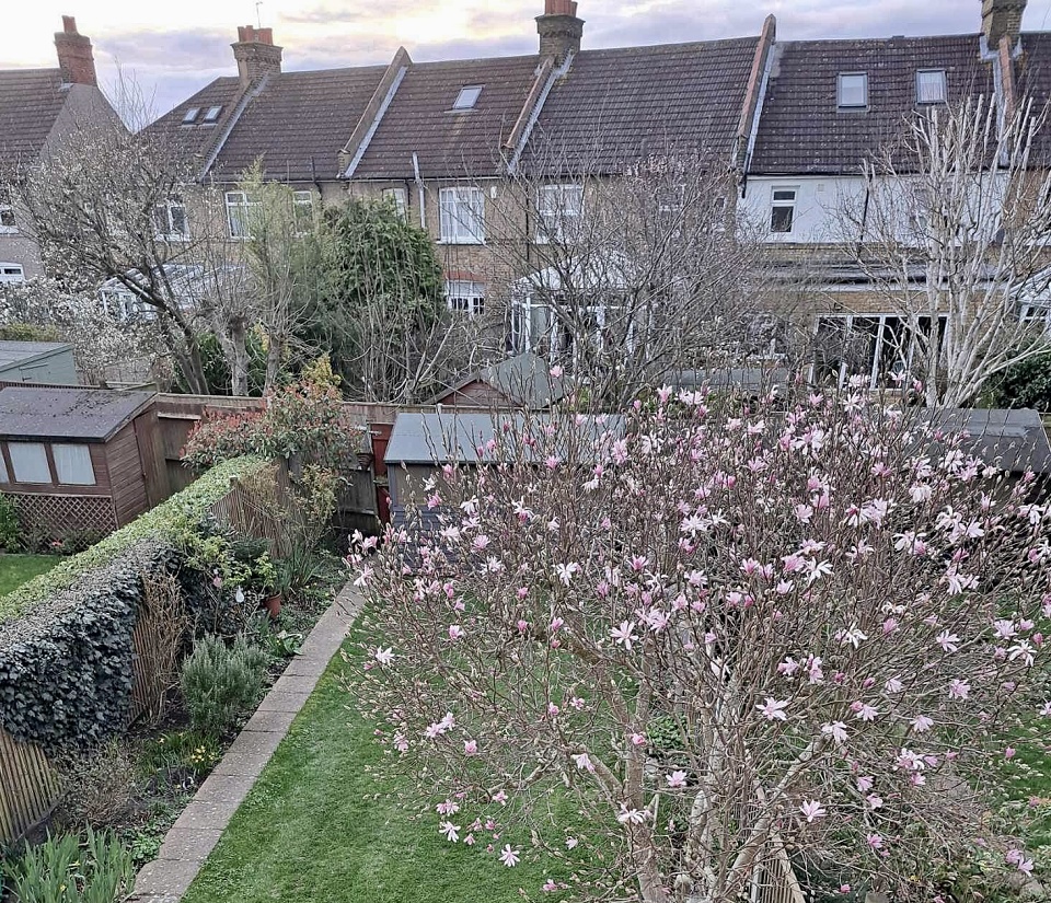 Signs of spring | Emsie | Blipfoto