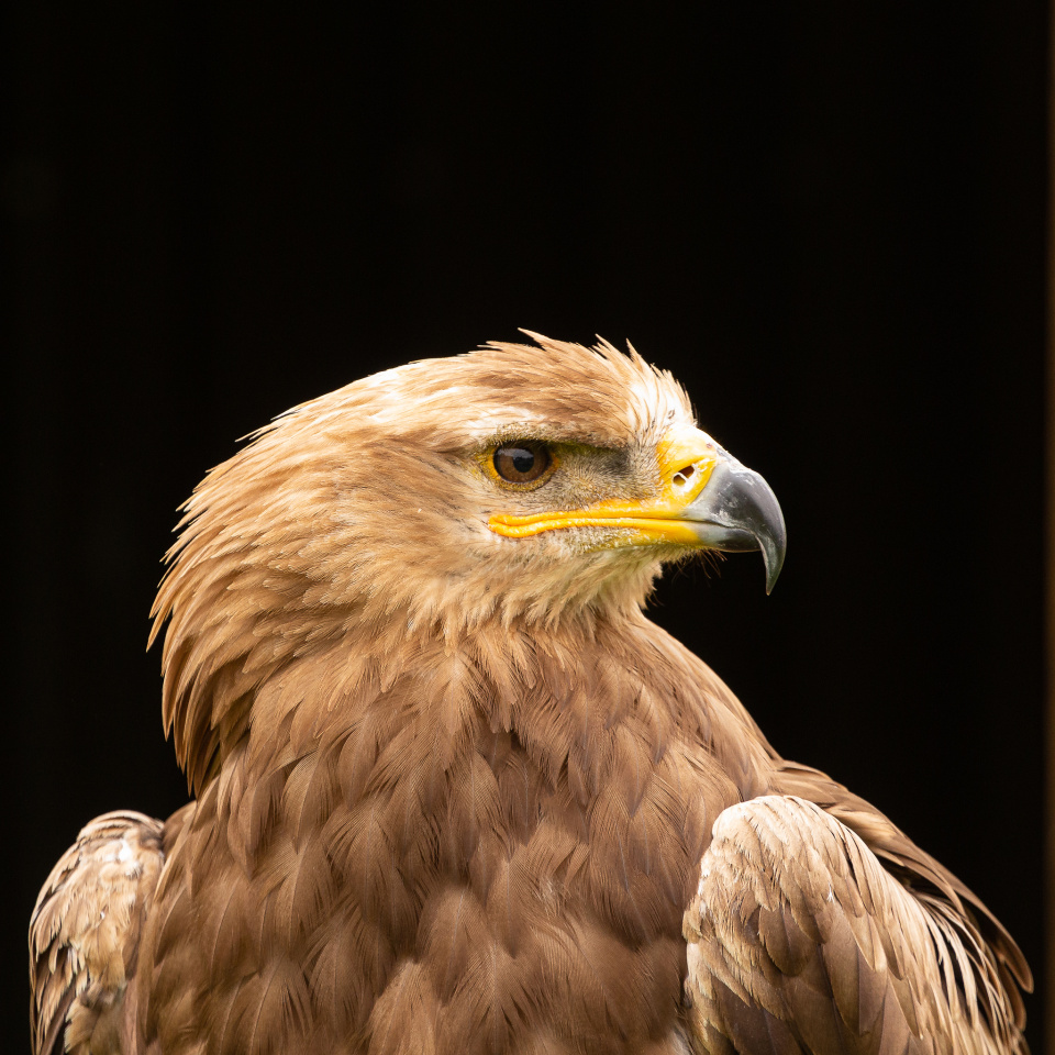 Thorp Perrow | madwill | Blipfoto