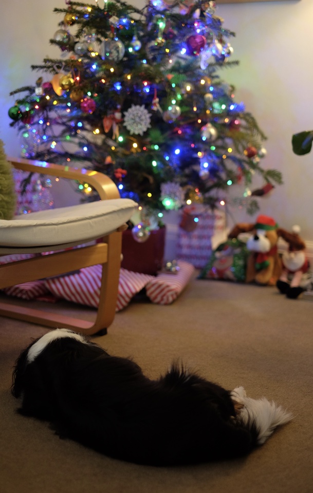 Still blipping | Emsie | Blipfoto