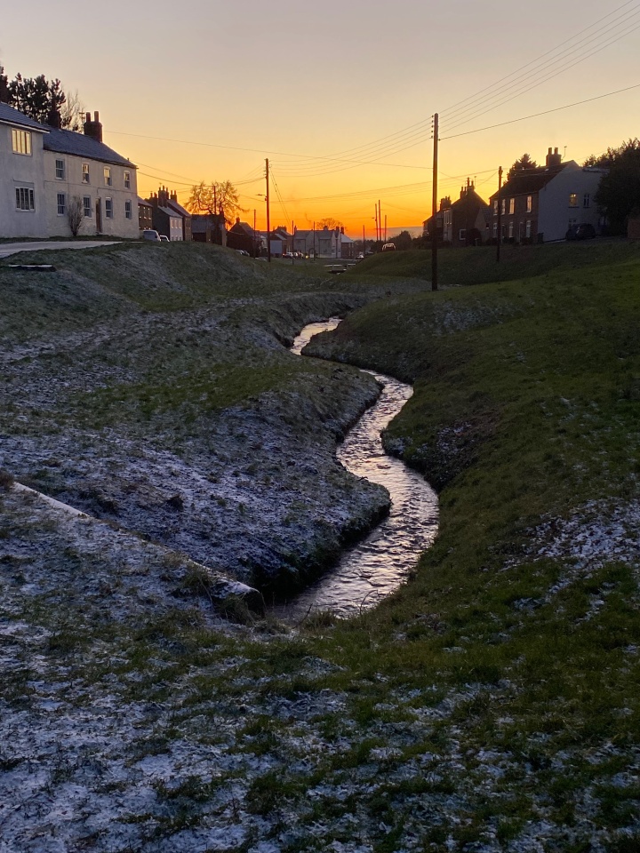 The beck | gladders | Blipfoto