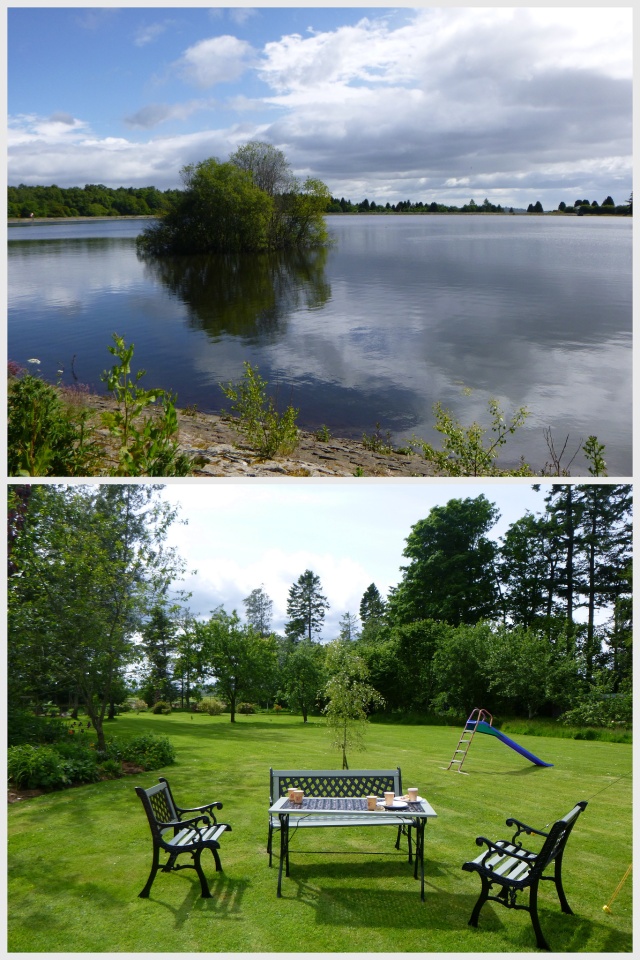 My day | rat | Blipfoto