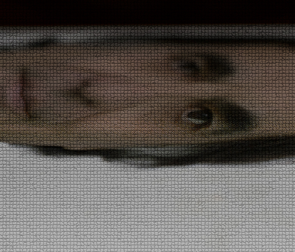 A picture of a man | about | Blipfoto