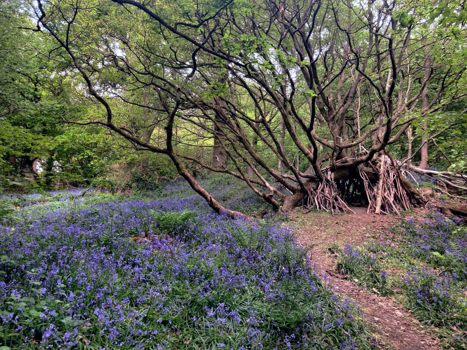 Remembering | mambo | Blipfoto