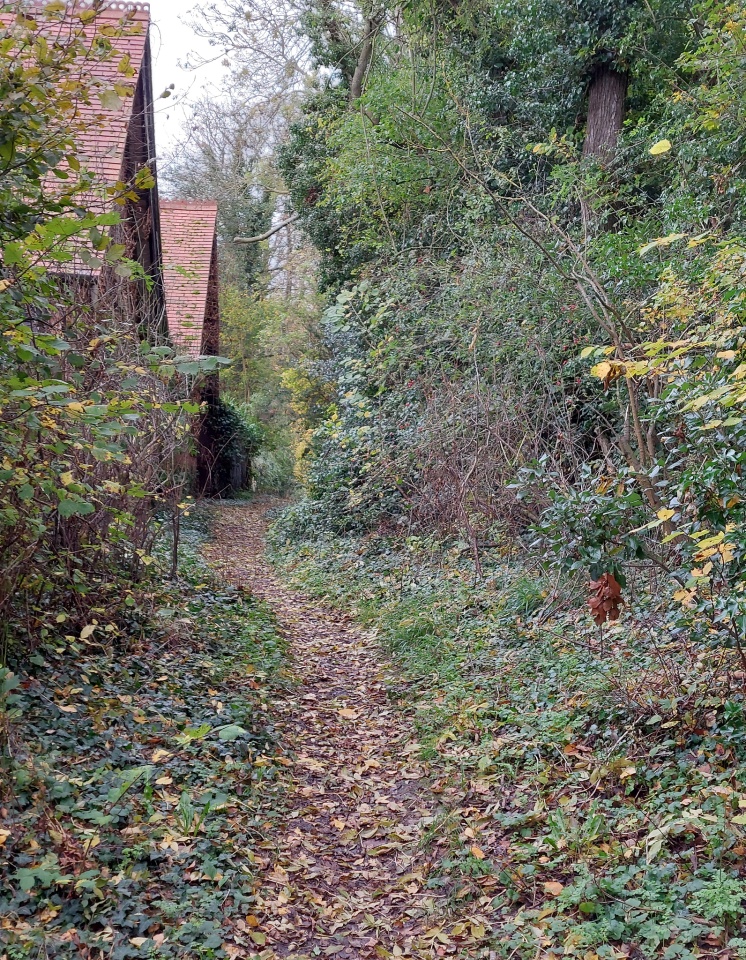 Another footpath picture... | chrisA | Blipfoto