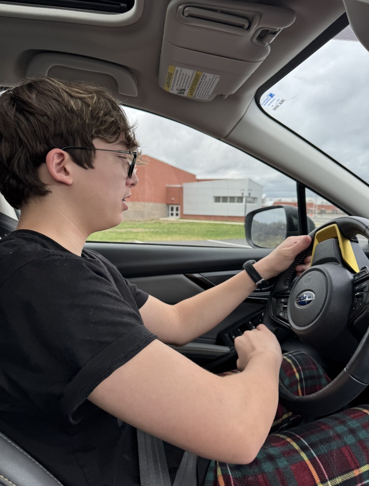 He Drives Me Crazy | TurtleBug | Blipfoto