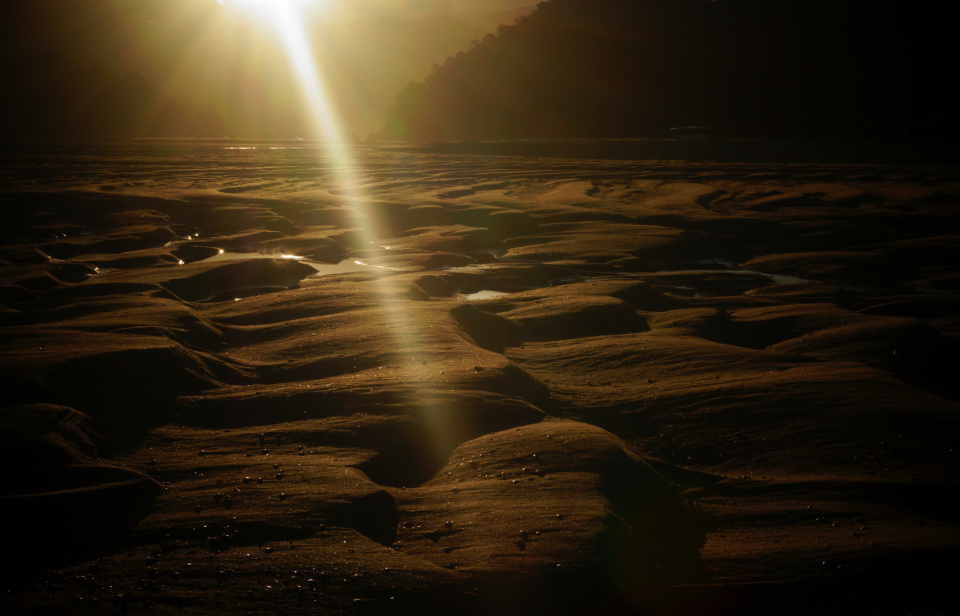 Setting... | Miffy | Blipfoto