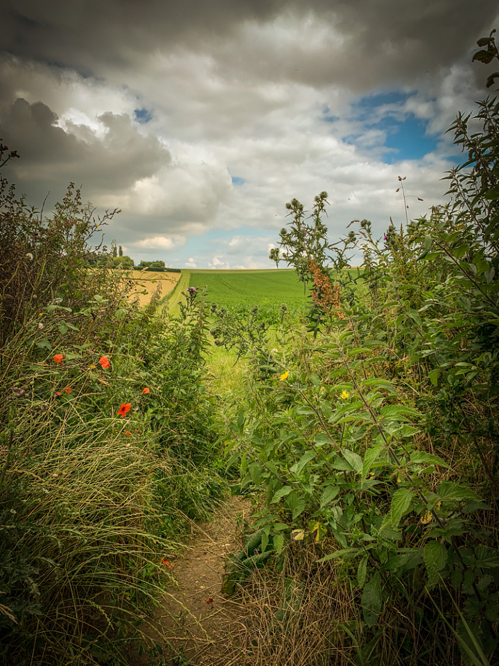 Gunners Hall | davidd | Blipfoto