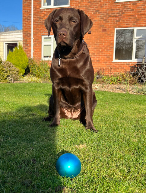 Bauble Fun | Romay | Blipfoto