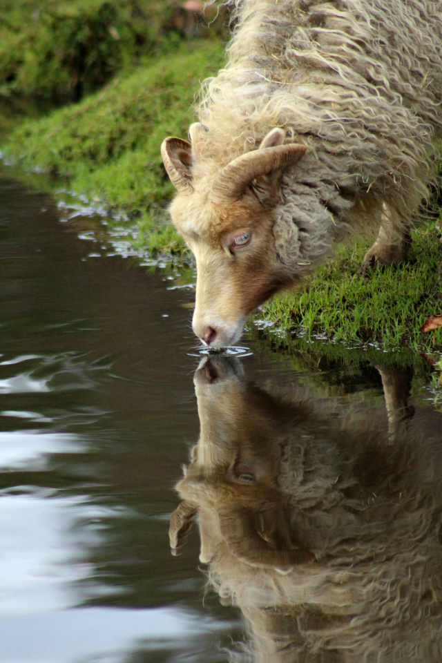 Upon Reflection | theBroon | Blipfoto