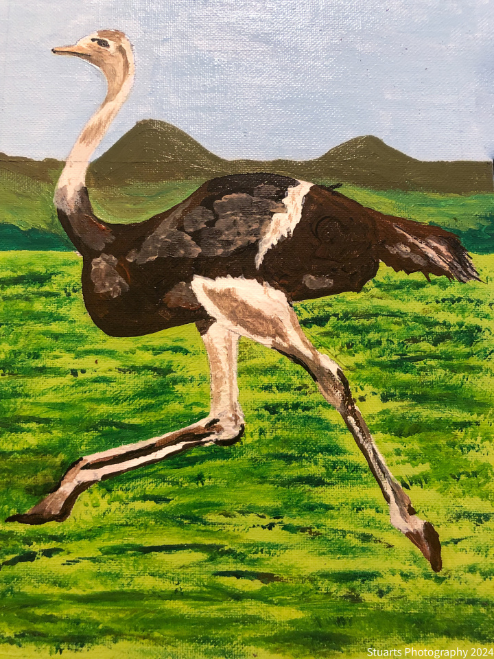 Ostrich (painting) | Stuart46 | Blipfoto
