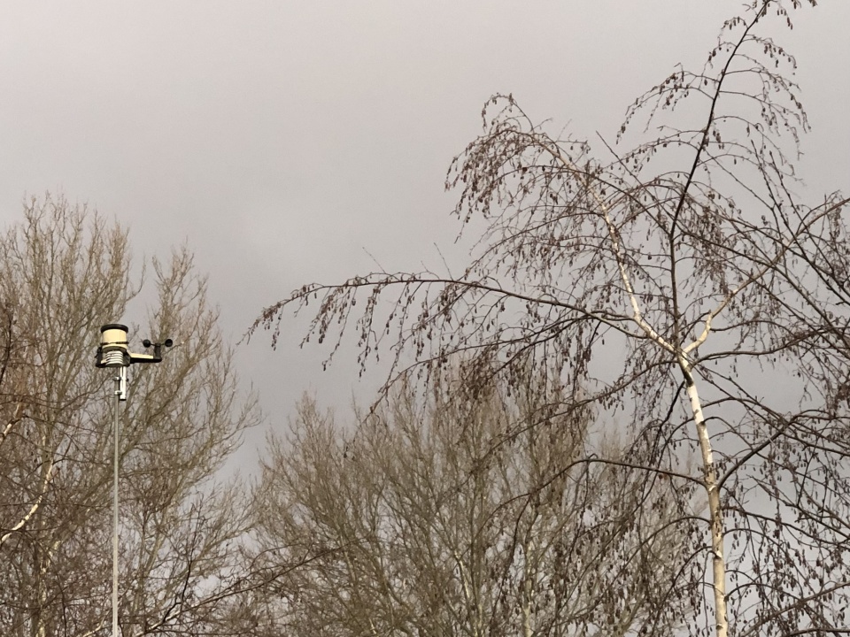 Winter | 59 | Blipfoto