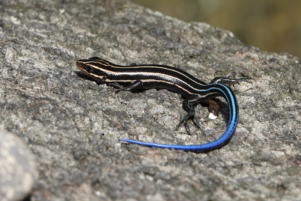 Poop? | Kimb | Blipfoto