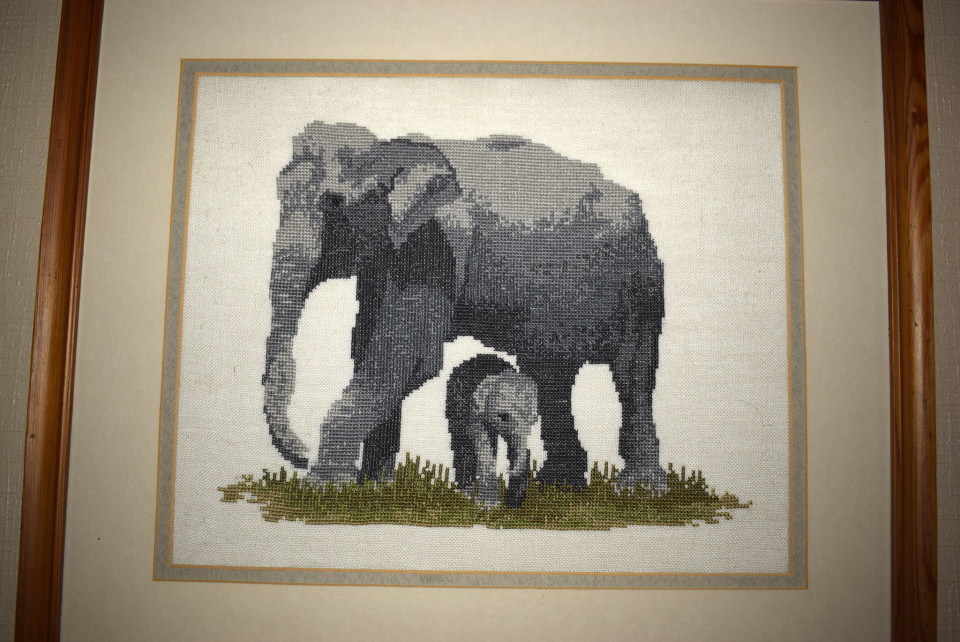 There's always something to blip | rat | Blipfoto