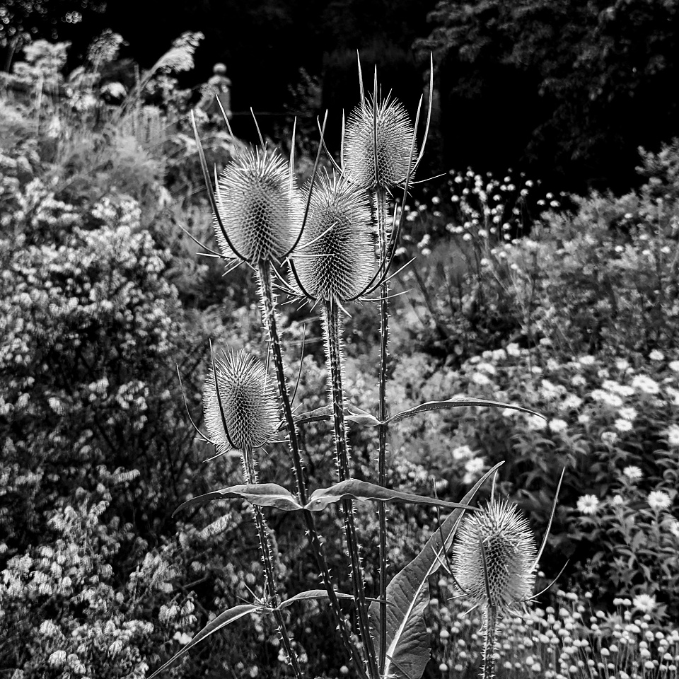 Thresholds | Melisseus | Blipfoto