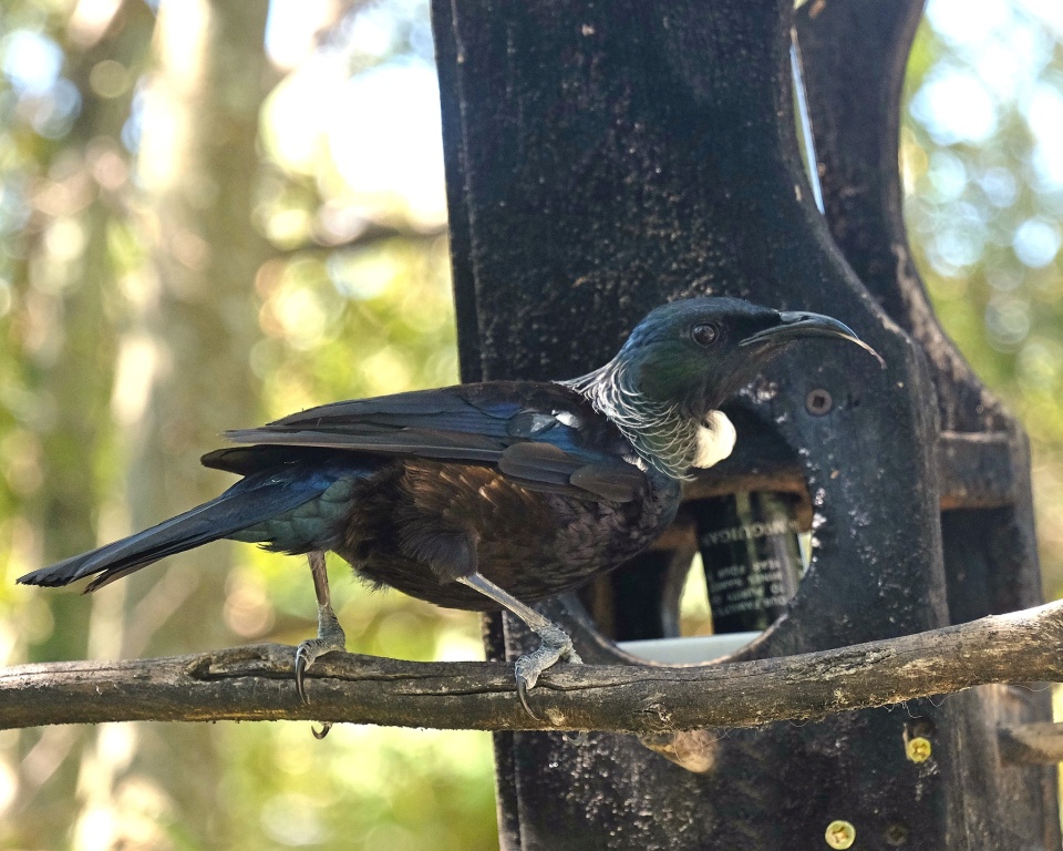 Welcome Back . . . John Sebastian | V1k1 | Blipfoto