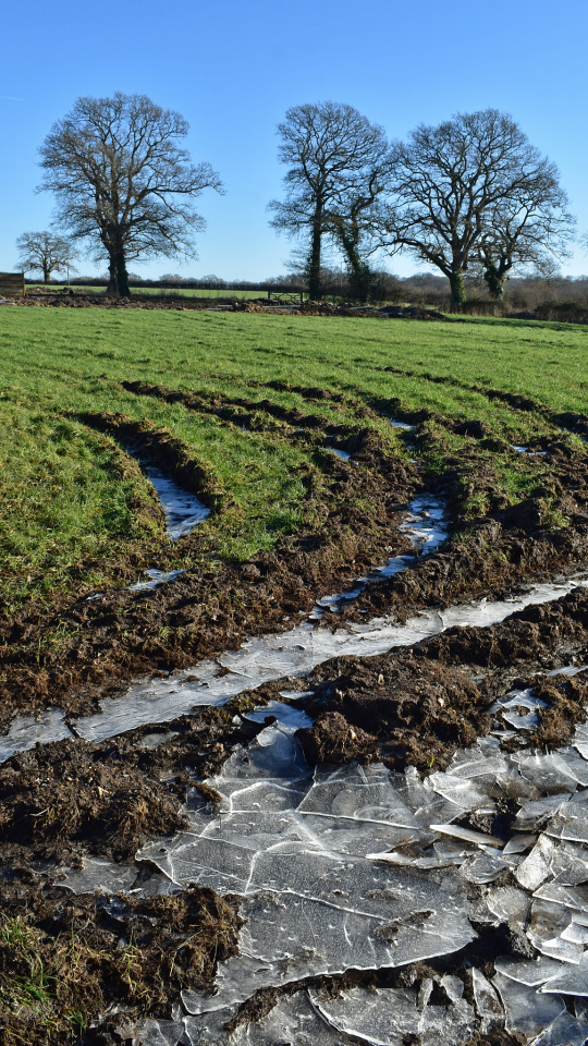 Out of our rut | pixelpixie | Blipfoto