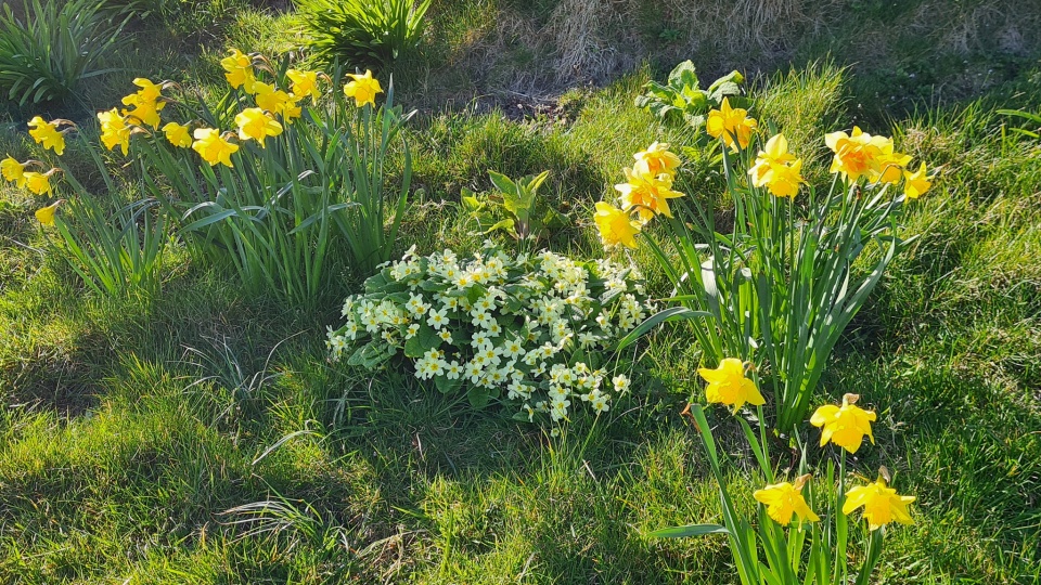 BRIGHT | EllyJay | Blipfoto