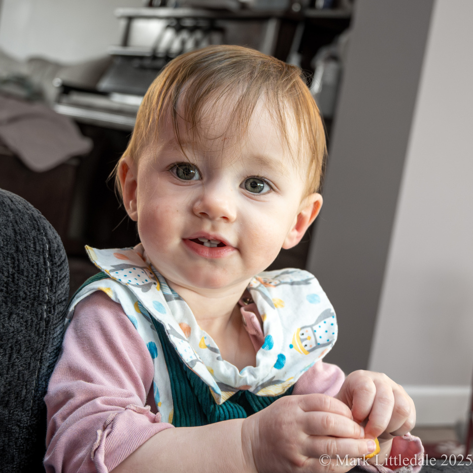 A day with Elsie. | MarkLittledale | Blipfoto