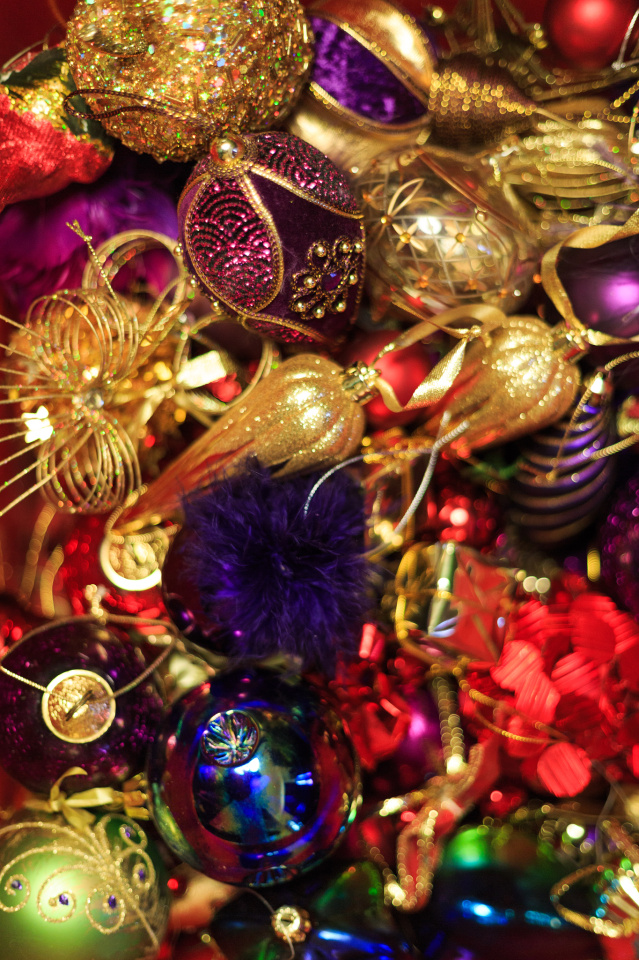 The sparklies are being... | greenzowie | Blipfoto