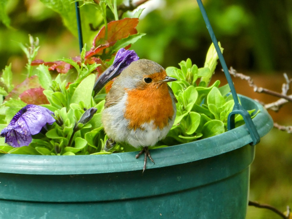 The waiting game.. | elgar1 | Blipfoto