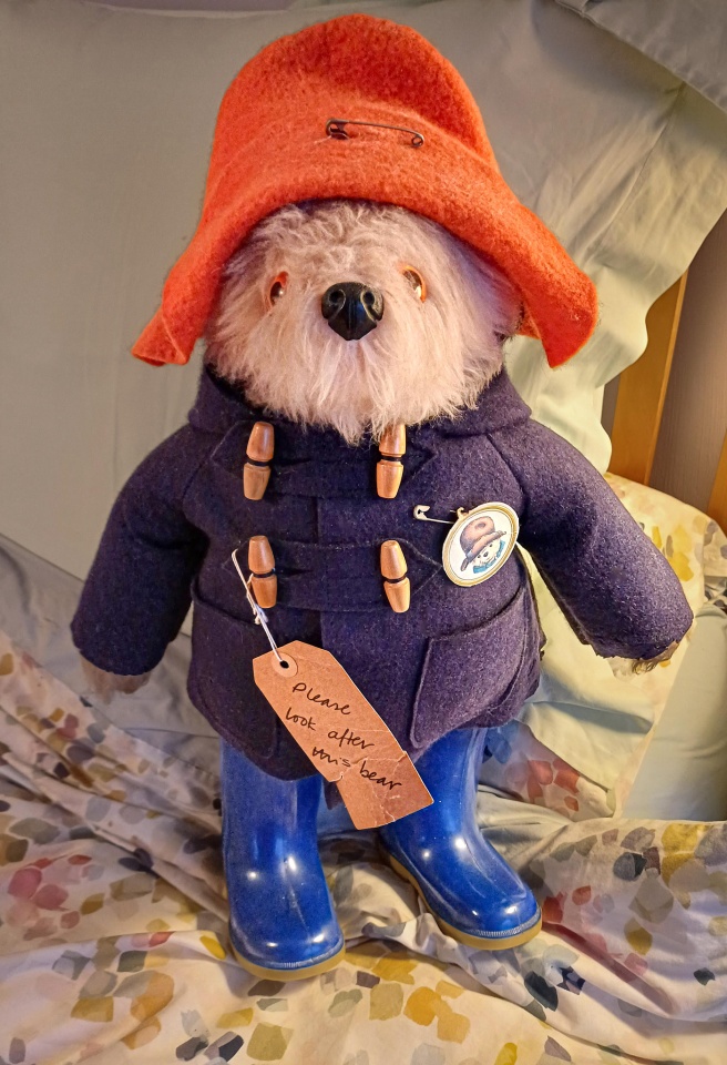 My beautiful little bear! | Stiffknees | Blipfoto