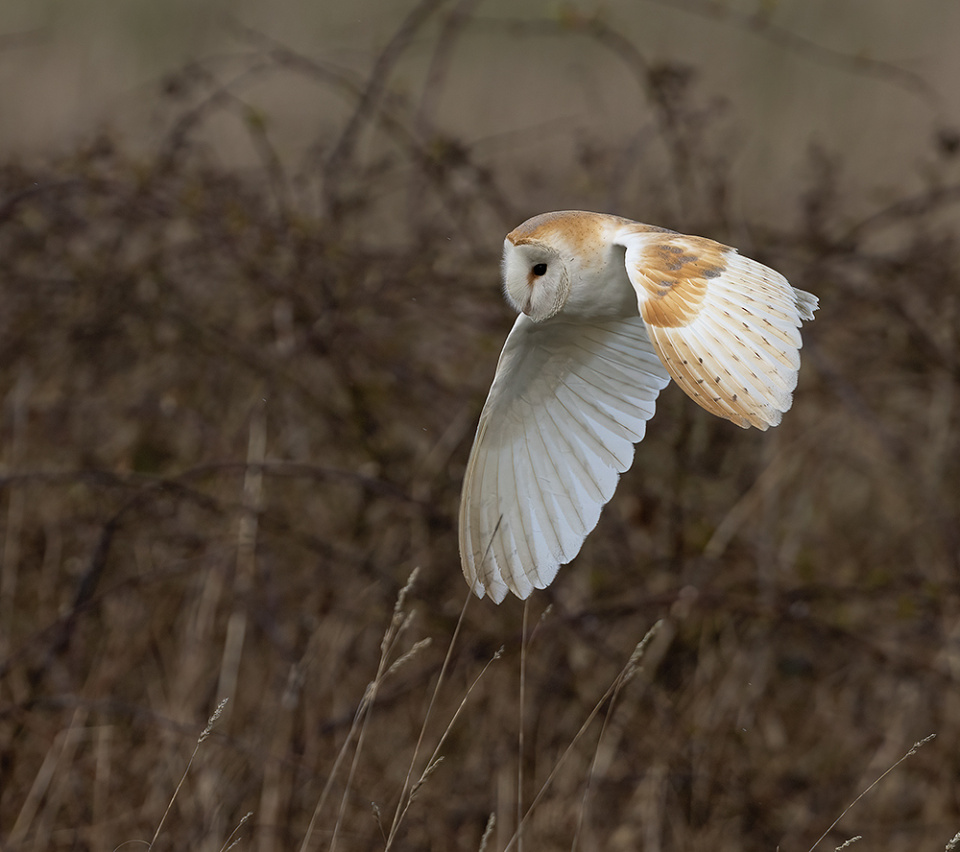 The Passover | Hillyblips | Blipfoto