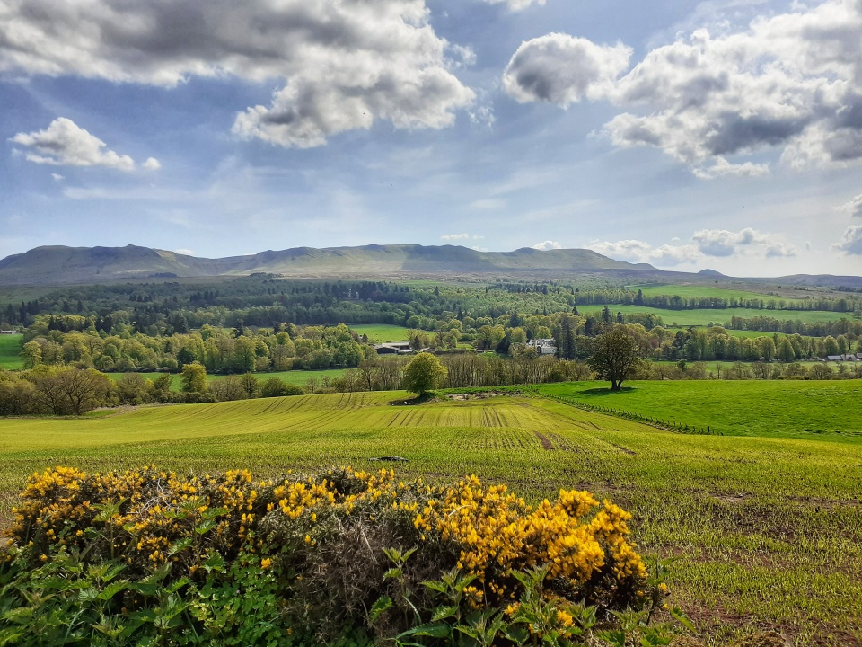 Campsie view | Freuchie | Blipfoto