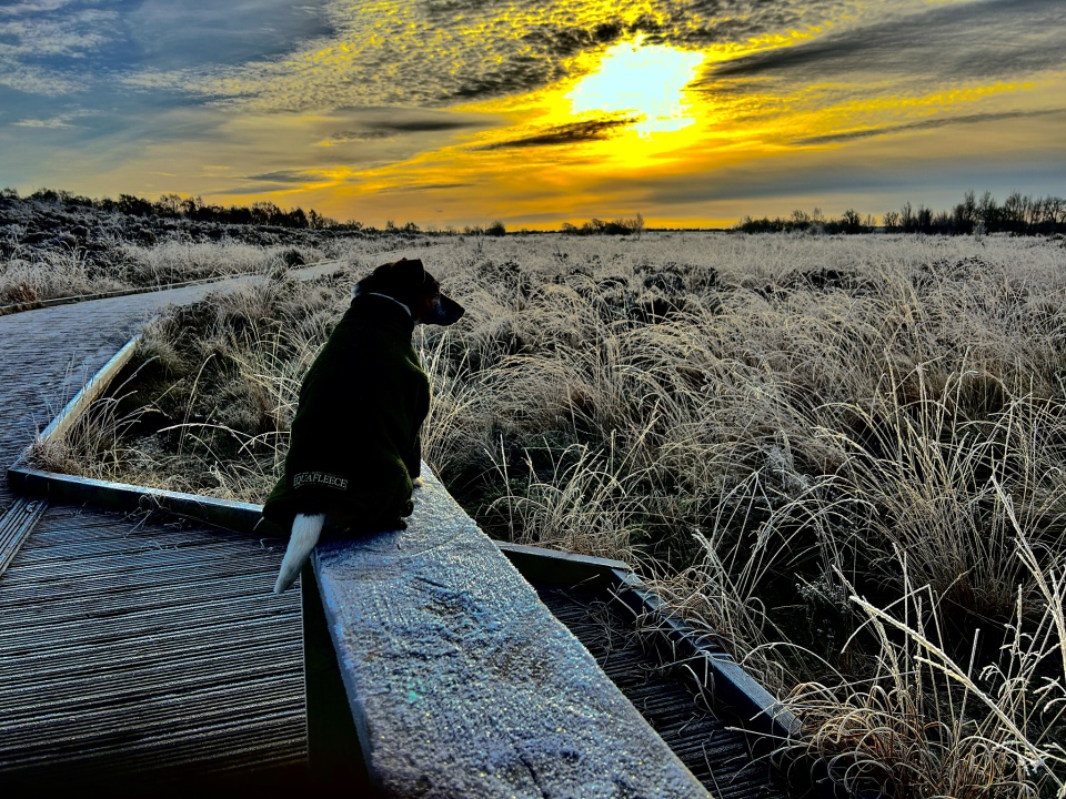 A WINTER WONDERLAND. | Larchlea | Blipfoto