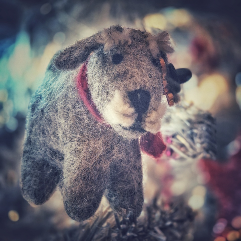 Wuffa | dbrereton | Blipfoto
