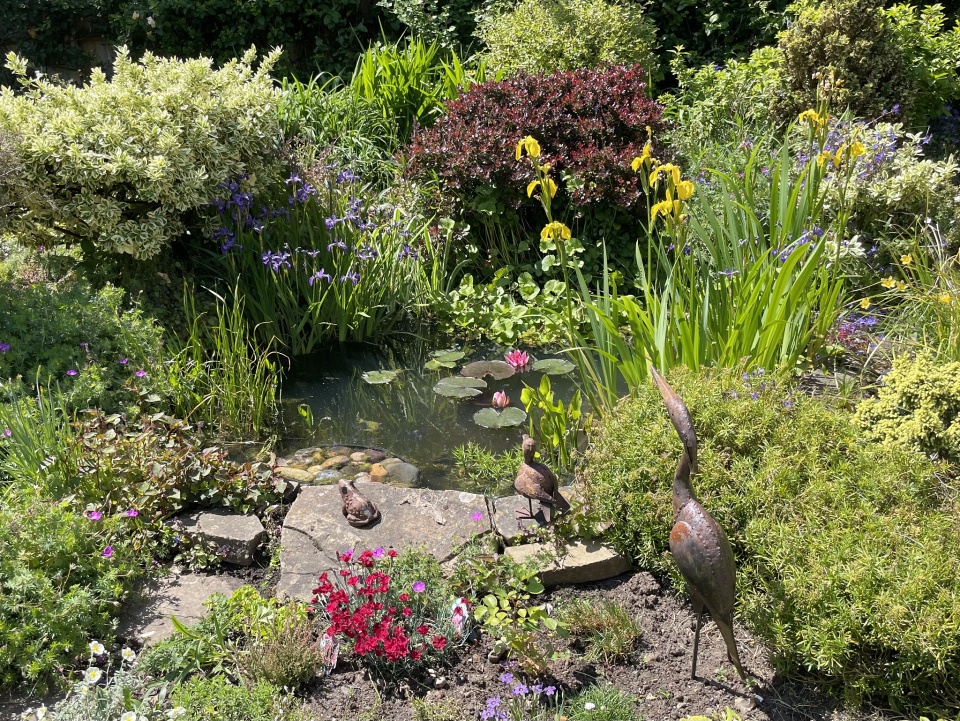 A nice pond | jennym999 | Blipfoto