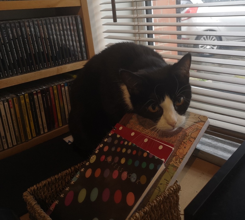 Please... | Gibbsangie | Blipfoto