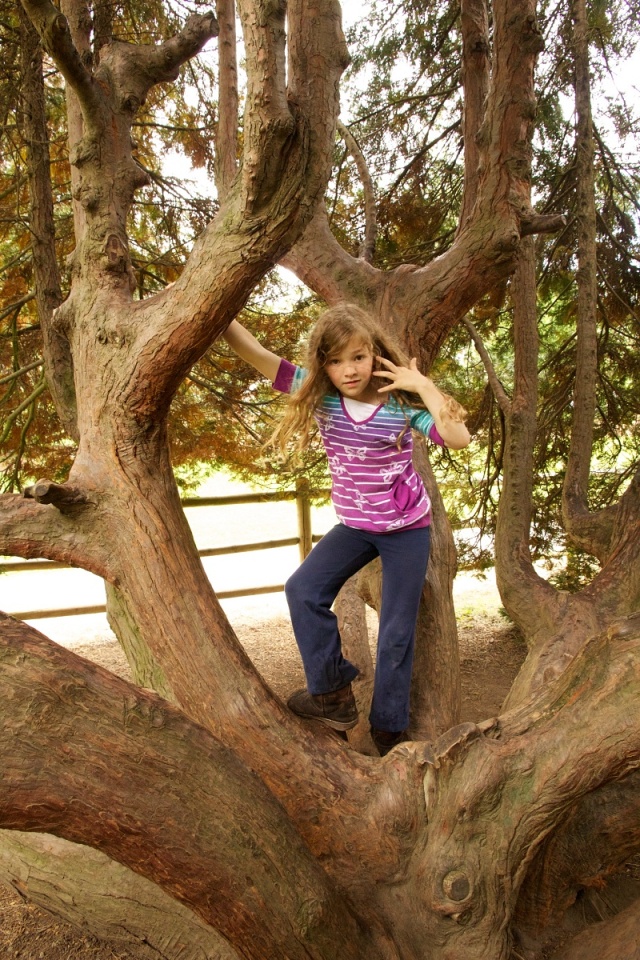 In the Juniper | NannaK | Blipfoto