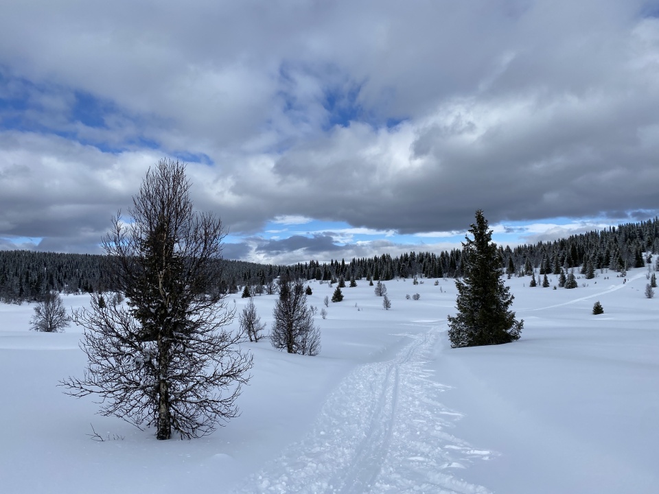 Gala to Kvitfjell, Norway | wildmint | Blipfoto