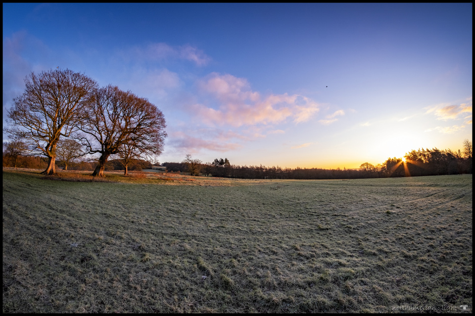 At Sandhoe-Two-Birds ... | RobinDown | Blipfoto