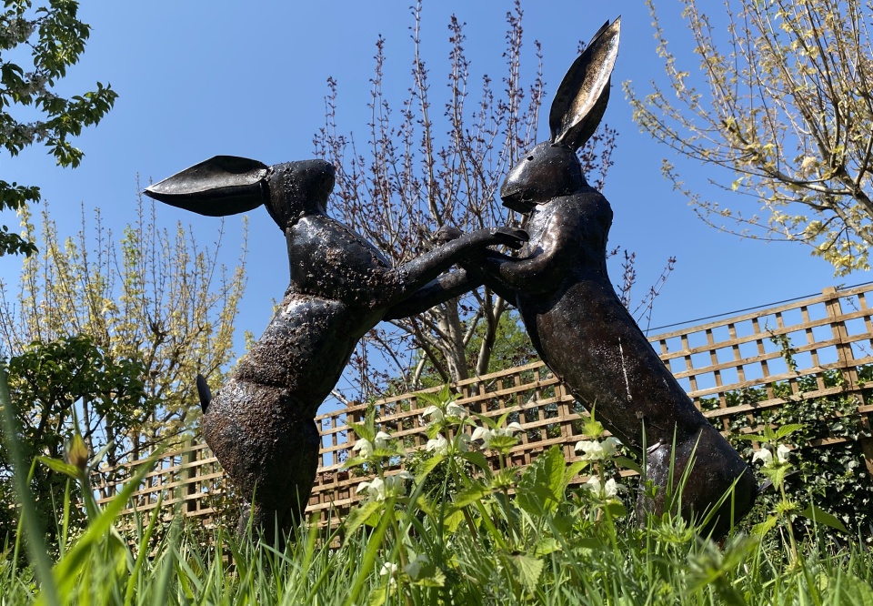 Boxing Hares | fairweathergirl | Blipfoto
