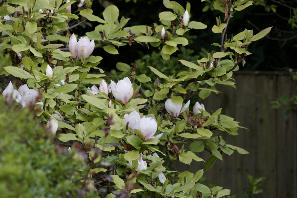 Window view | Jaybay | Blipfoto