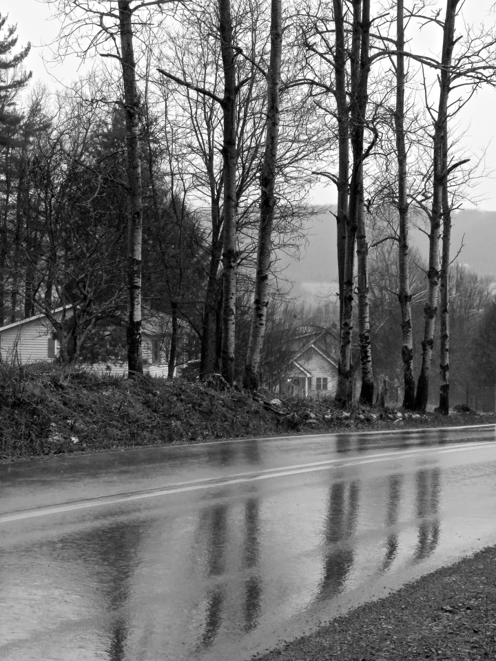 February Rain | GirlWithACamera | Blipfoto