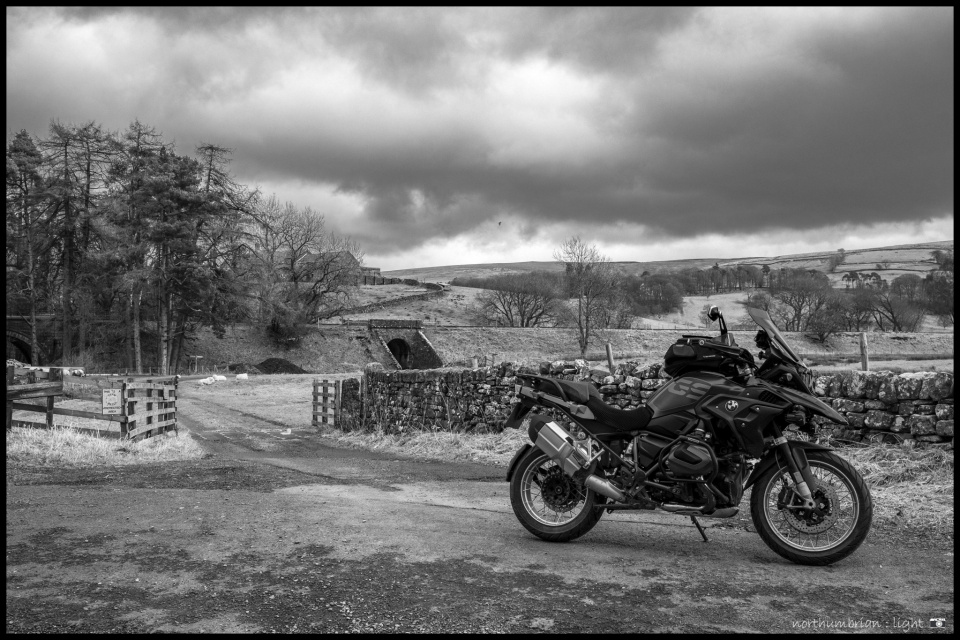 Out again ... | RobinDown | Blipfoto