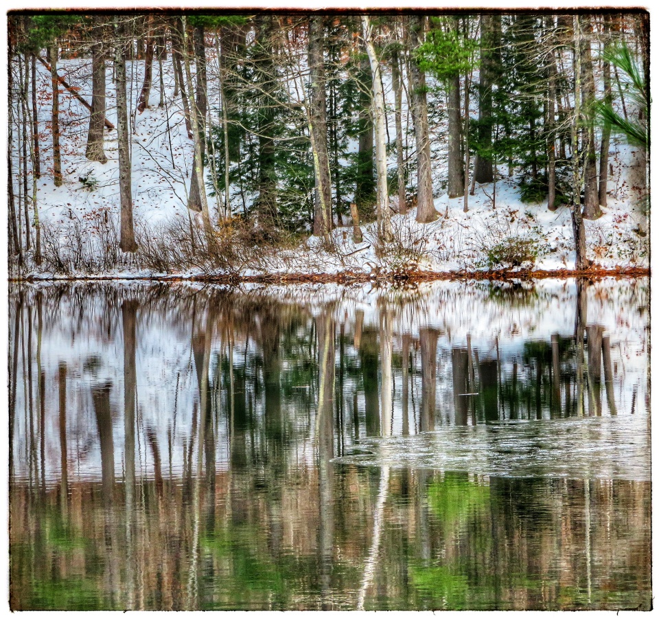 Creeping Ice | Memories4Me | Blipfoto