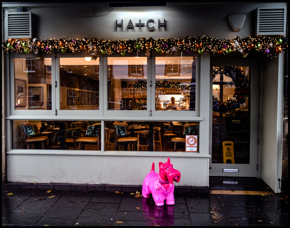 Still tipping down. | ForthPorts | Blipfoto