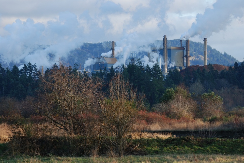 Chemainus River estuary | jandeblipper | Blipfoto