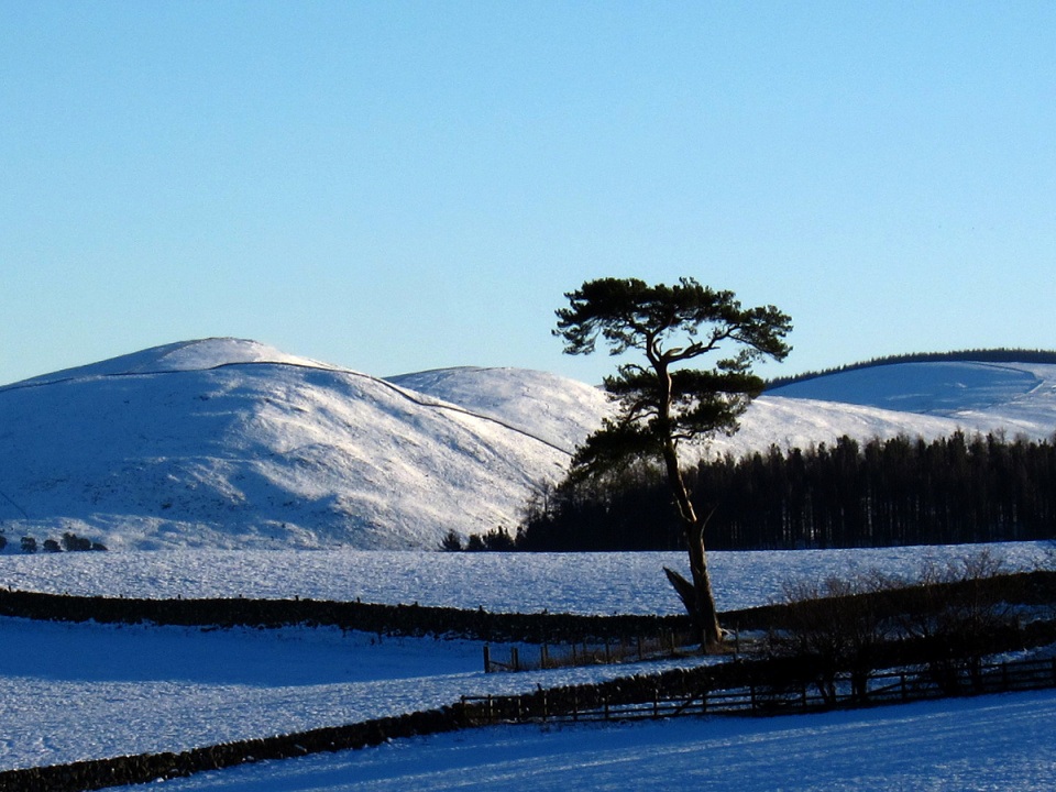 Peeblesshire hills, Scottish Borders | DomesticGoddess | Blipfoto